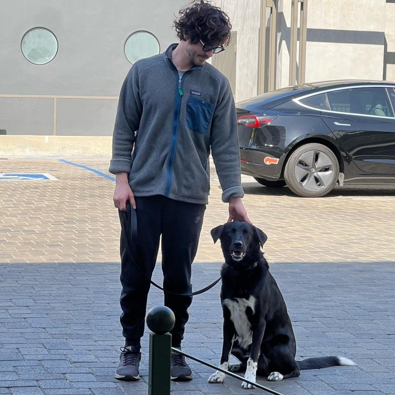 Logan Lerman Height, Weight, and Physical Measurement - Allcelenews